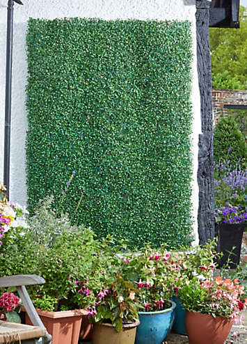 Artificial Box Wood Screening Panel 60 x 40cm | Kaleidoscope