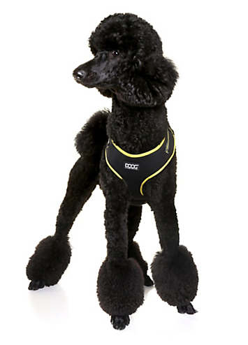 DOOG Neon Neoprene Harness | Kaleidoscope