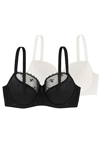 DORINA Elvera Pack of 2 Underwired Non Padded Bras | Kaleidoscope