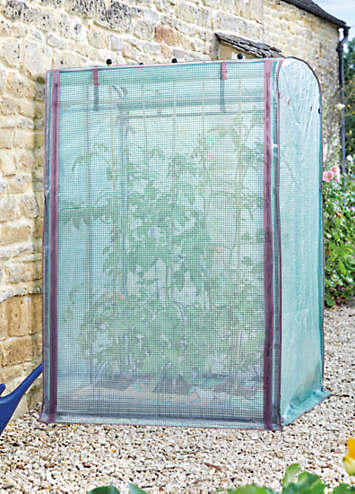 Smart Garden Tomato GroZone Max - Double Sided | Kaleidoscope