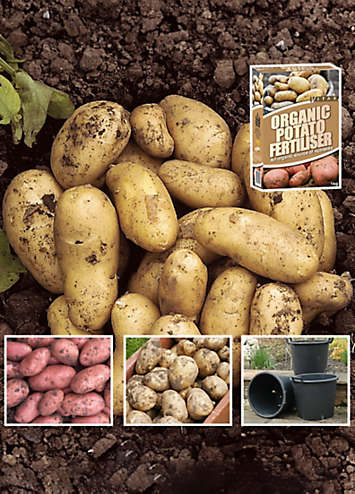 You Garden Patio Potato Grow Kit - 3 Varieties | Kaleidoscope