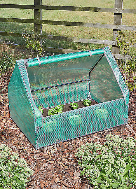 GroZone GroCloche | Kaleidoscope