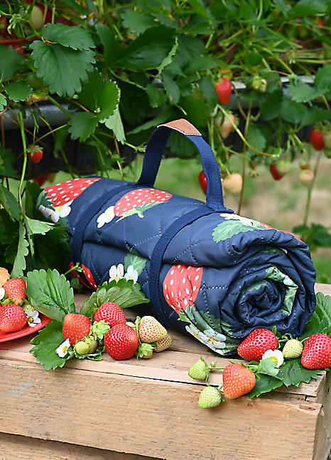 Navy picnic blanket store