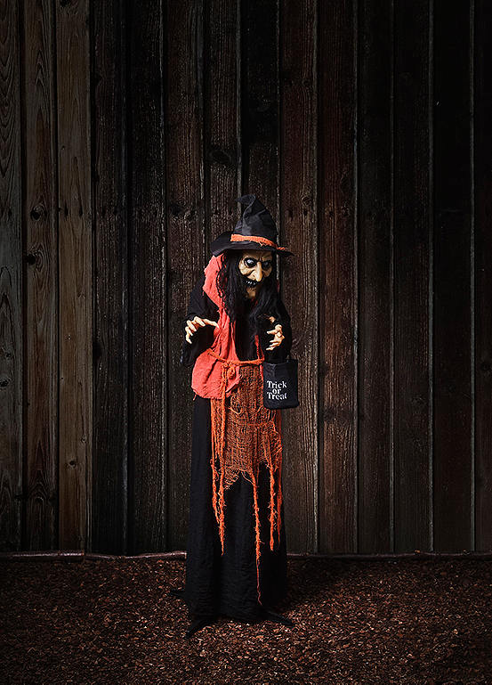 Lights4Fun Lights 4 Fun Animated Witch Figure With Trick Or Treat Bag ...
