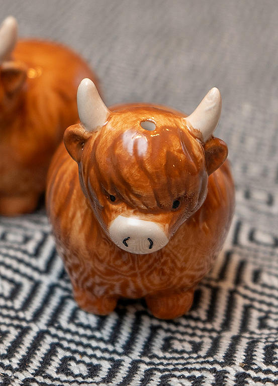 Salt & Pepper Pots Highland Cow | Kaleidoscope