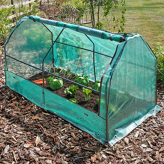 Smart Garden Grozone Max Gro-Cloche | Kaleidoscope