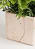 37cm Fern in Travertine Style Pot | Kaleidoscope