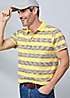 Cotton Traders Short Sleeve Textured Stripe Polo Shirt | Kaleidoscope