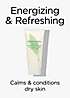 Elizabeth Arden Green Tea Scent Spray 100ml 2 Piece Gift Set | Kaleidoscope
