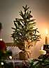 Festive Green Table Top Tree with Berries in Hessian Sack | Kaleidoscope