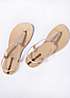 Ipanema Ladies Beige Class Classy Sandals | Kaleidoscope
