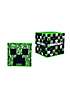 Minecraft Survival Pack of 2 Storage Boxes | Kaleidoscope