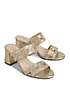 Paradox London ’Megaera’ Champagne Block Heel Mule Sandals | Kaleidoscope