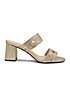 Paradox London ’Megaera’ Champagne Block Heel Mule Sandals | Kaleidoscope