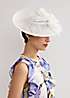Phase Eight Bow Disc Fascinator | Kaleidoscope