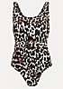 Phase Eight Leopard Swimsuit | Kaleidoscope