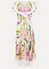 Phase Eight Matilda Floral Dress | Kaleidoscope