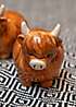 Salt & Pepper Pots Highland Cow | Kaleidoscope