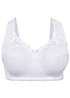 Sheego Curve Non-Wired Bra | Kaleidoscope