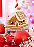 Treat Kitchen Gingerbread House Decorating Kit | Kaleidoscope