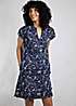 Weird Fish Suffolks Printed Jersey Dress | Kaleidoscope